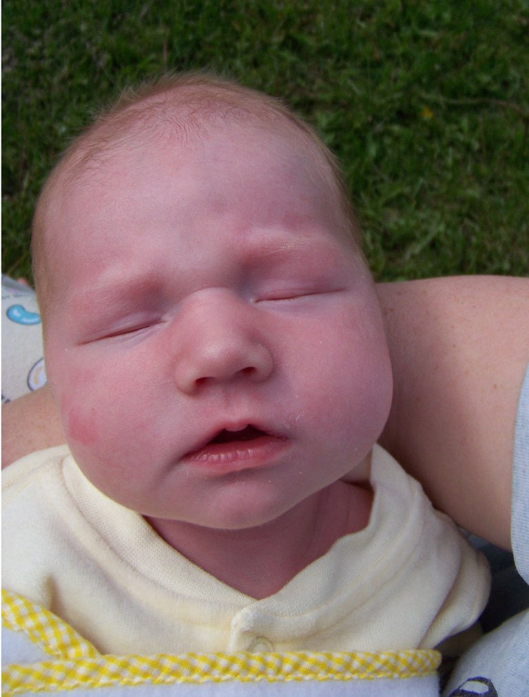 Four | Live. Learn. Love. Eat.